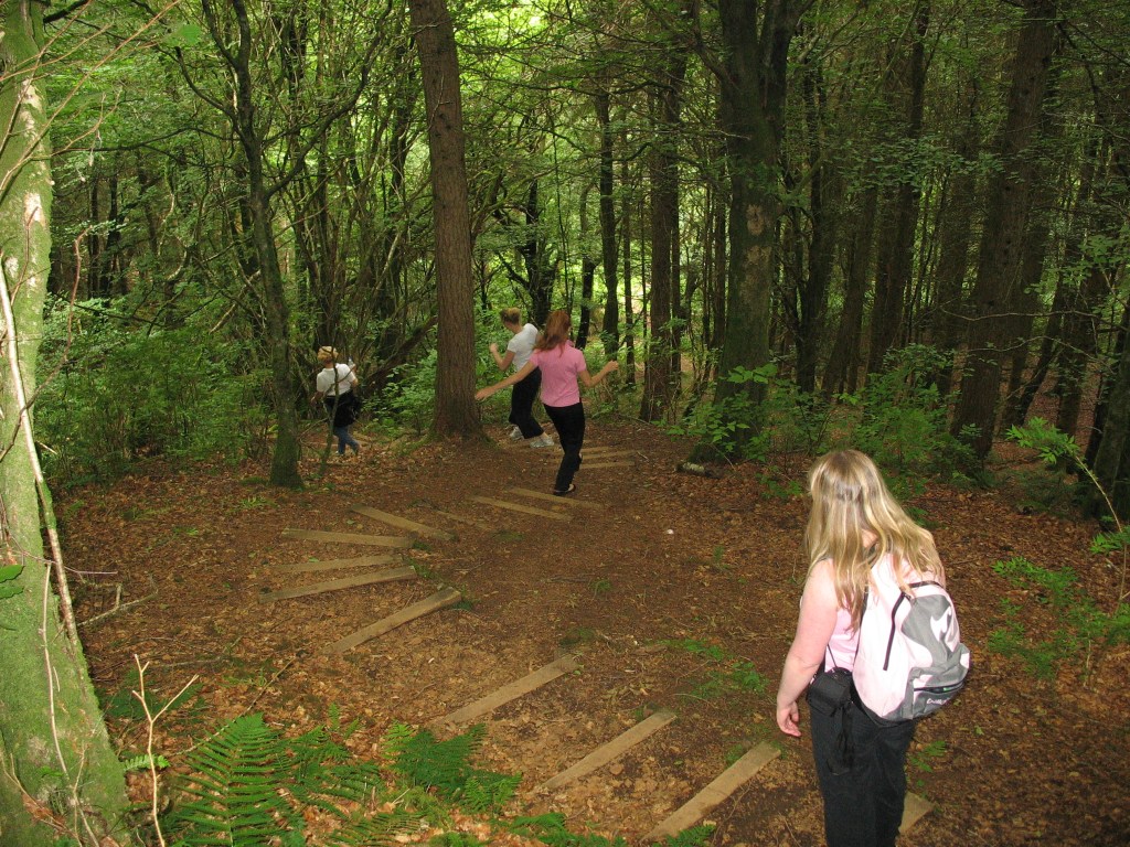 Walking on Arran: Giants’ Graves and Glenashdale Falls – Love Exploring ...