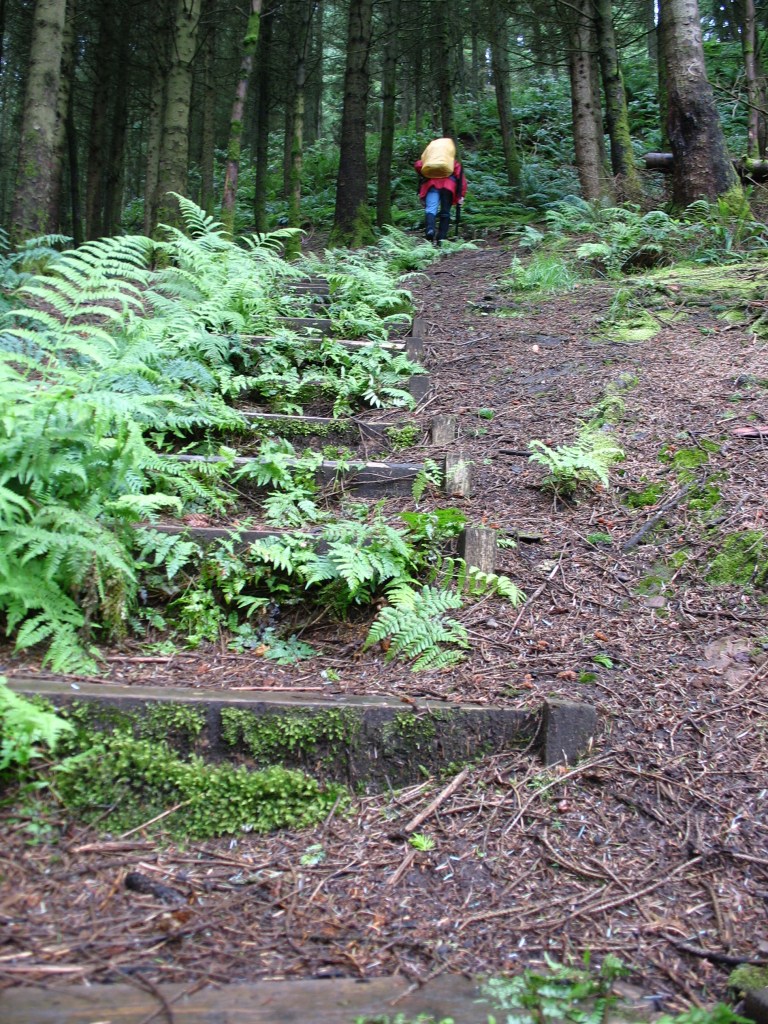 Walking on Arran: Giants’ Graves and Glenashdale Falls – Love Exploring ...
