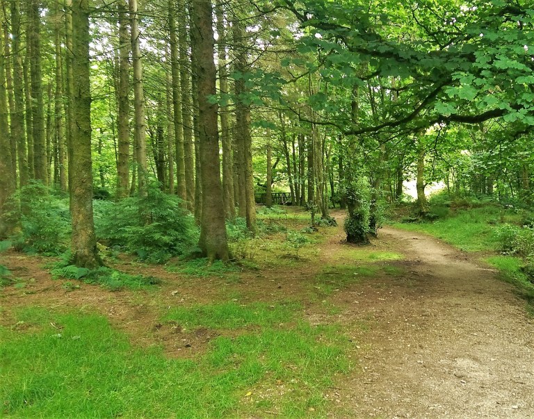 Walking on Arran: Urie Loch – Love Exploring Scotland