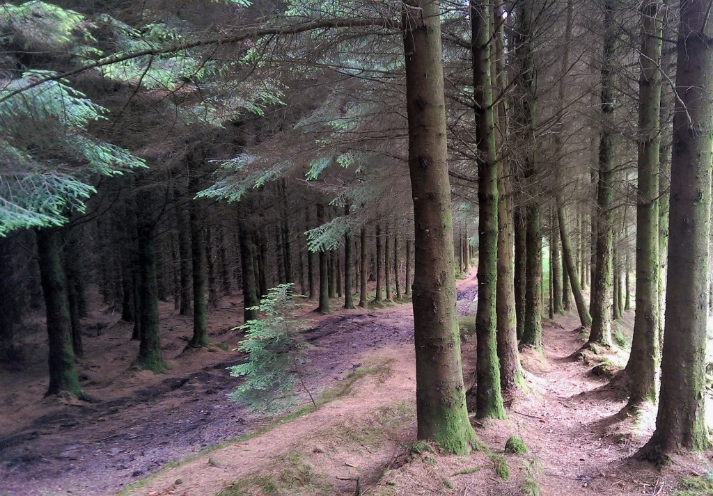 Walking on Arran: Urie Loch – Love Exploring Scotland