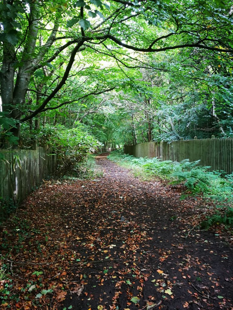 Smugglers’ Trail to Dundonald Castle – Love Exploring Scotland