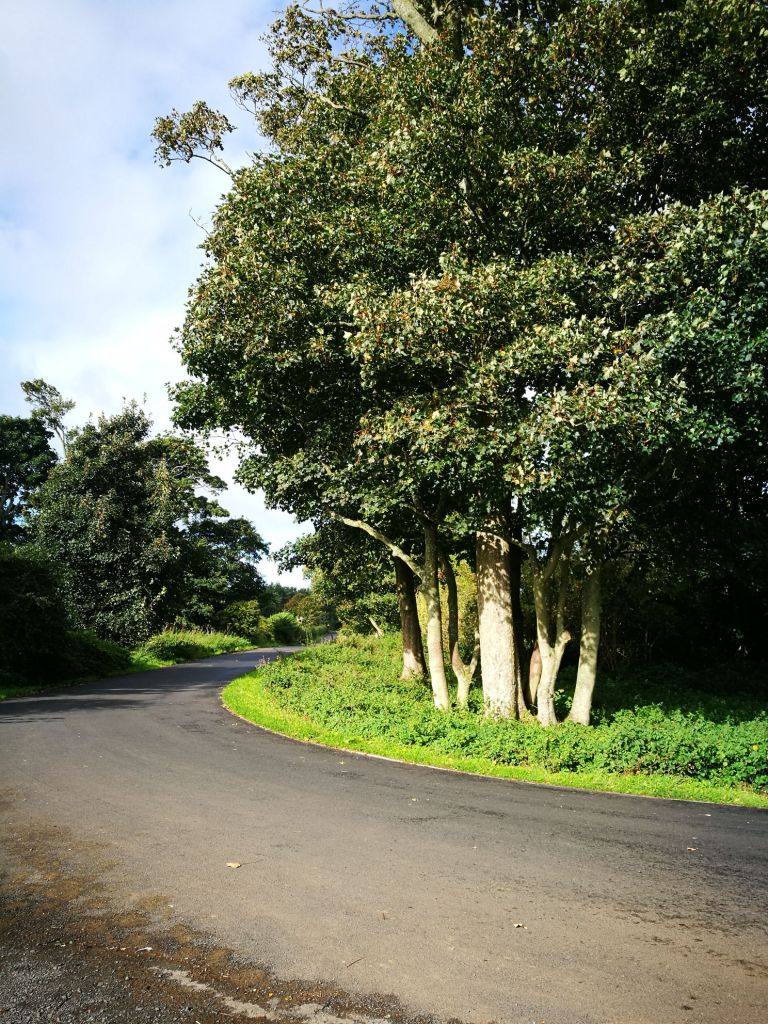 Smugglers’ Trail to Dundonald Castle – Love Exploring Scotland