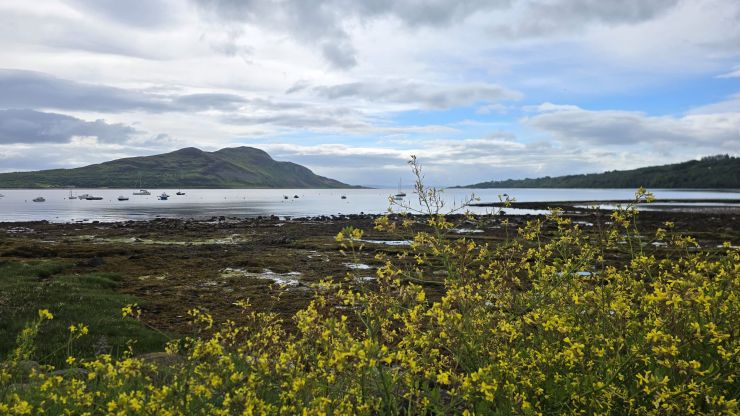 Holy Isle Coastal Walk, Ayrshire and Arran – Love Exploring Scotland